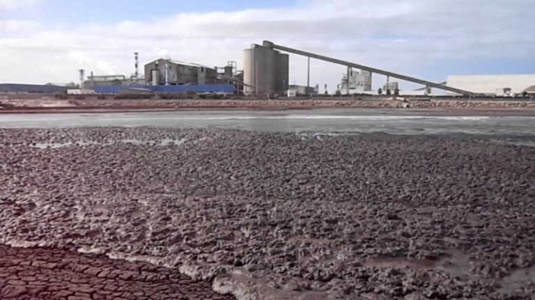 Tunisie : Gabès vit un désastre écologique que le naufrage vient ...
