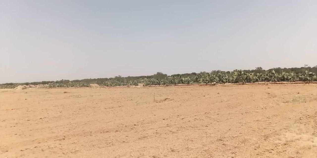 Tunisie Le Ministère Des Domaines De Letat Annonce La Récupération D